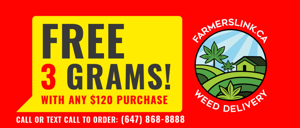 WEED DEALS | FREE 3 Grams of Weed! | Farmer's Link